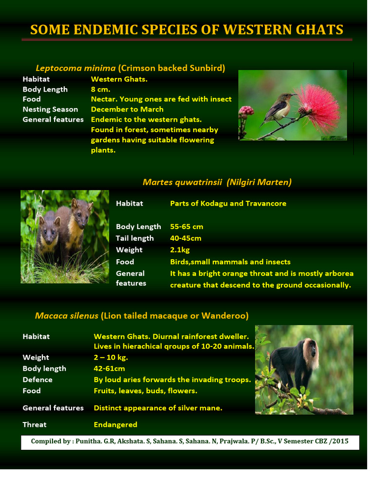 Punitha Endemic Species | PDF