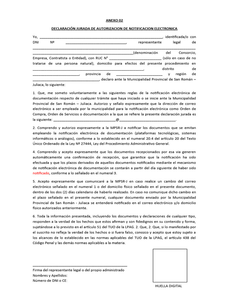 DECLARACION JURADA Anexo II | PDF | Ciencias sociales | Derecho