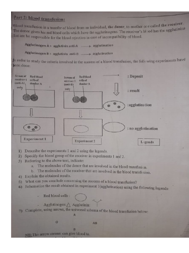 GO9KENMprnD-W.S Blood Transfusion - Attach | PDF