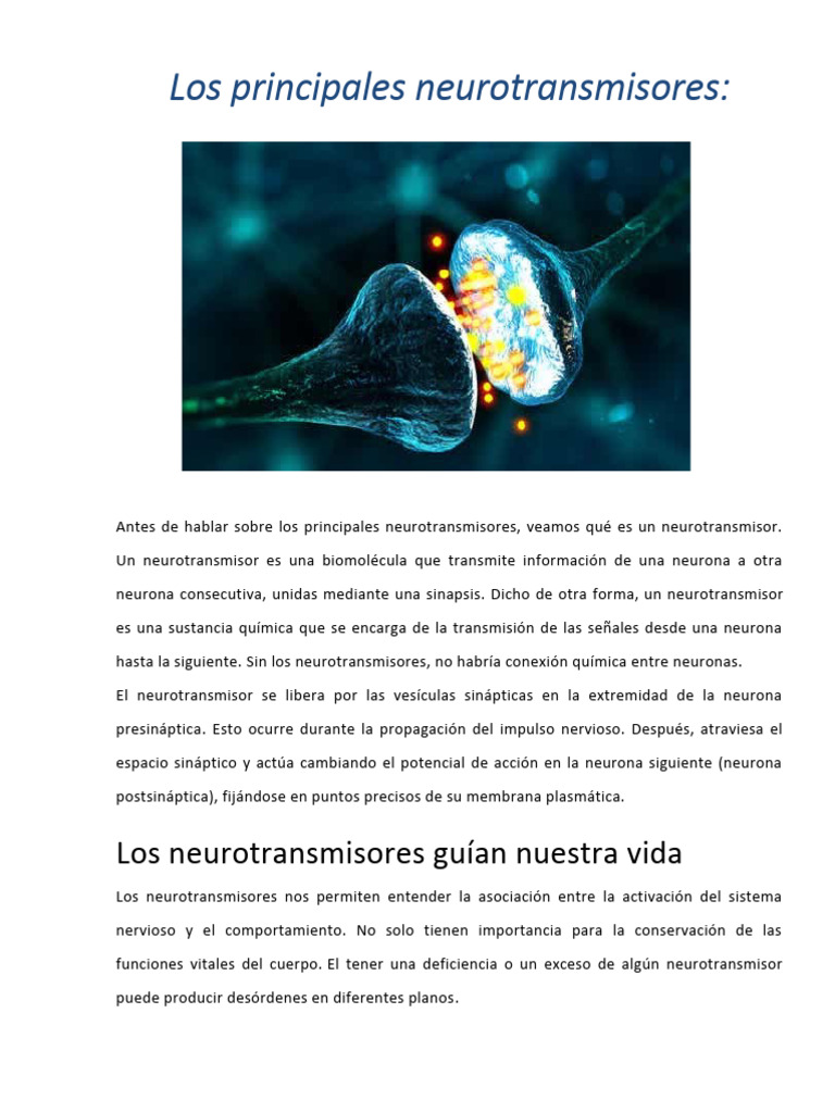 Principales Neurotransmisores y Funciones | PDF | Norepinefrina | Sinapsis