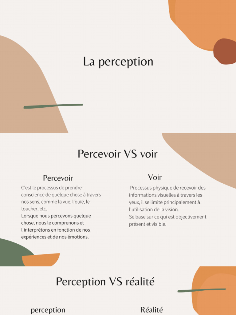 La Perception | PDF