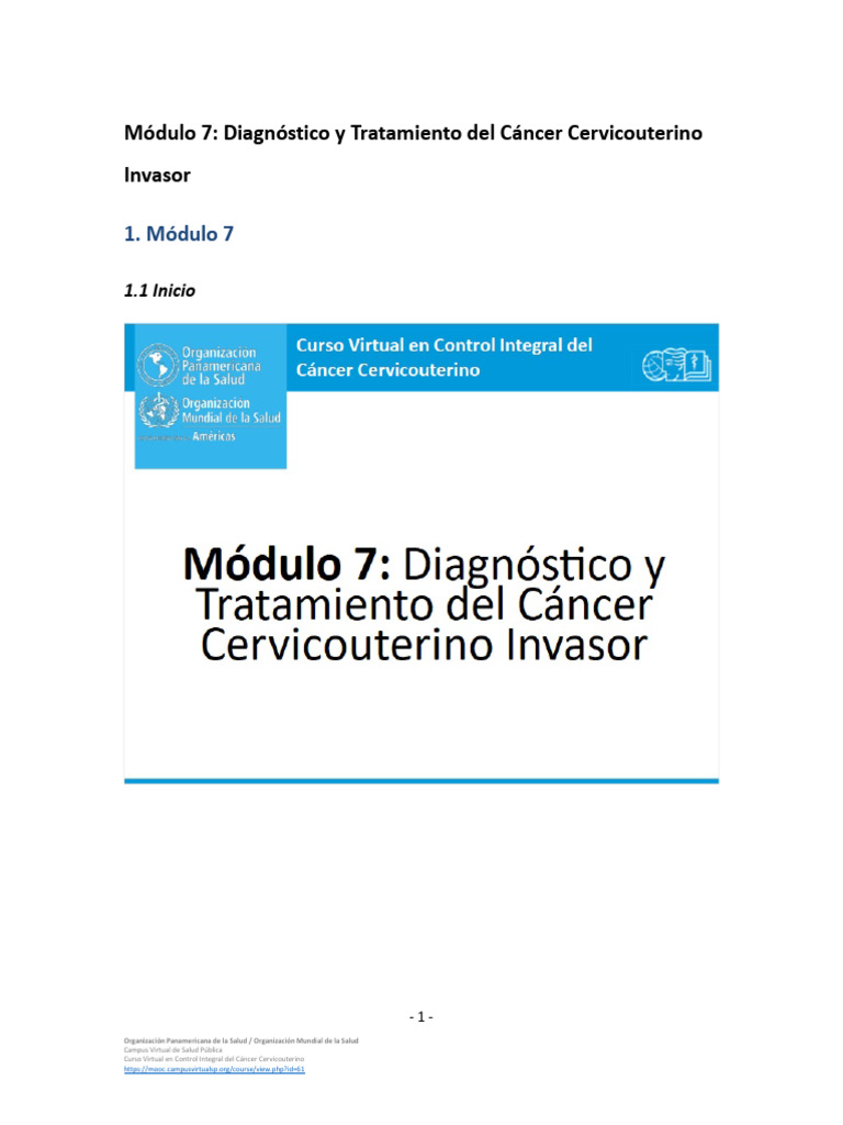 Módulo 7 - Diagnóstico y Tratamiento Del Cóncer Cervicouterino Invasor | PDF | Cáncer | Cáncer ...