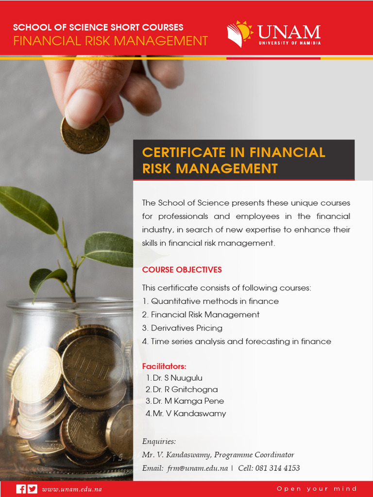 FRM Financial Risk Management Brochure | PDF | Financial Risk | Option ...