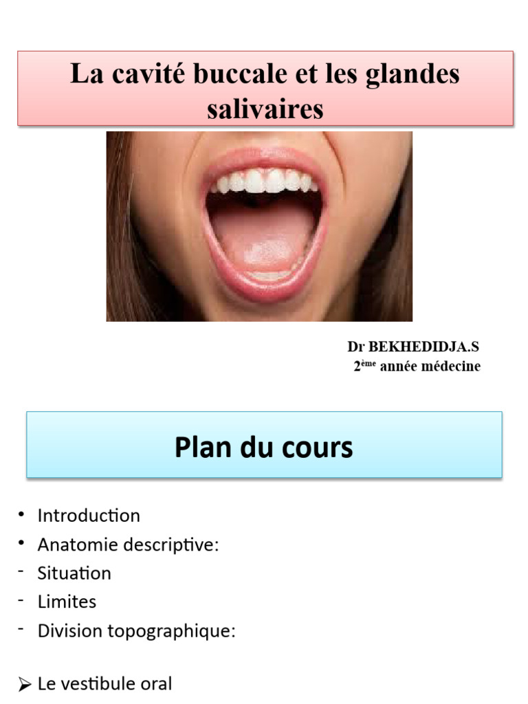 Anatomie de la cavité buccale et salivaires | PDF | Langue | Bouche