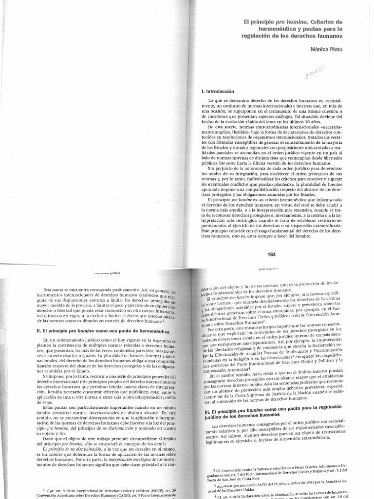 Principio Pro Homine en Derechos Humanos | PDF | Derechos humanos ...