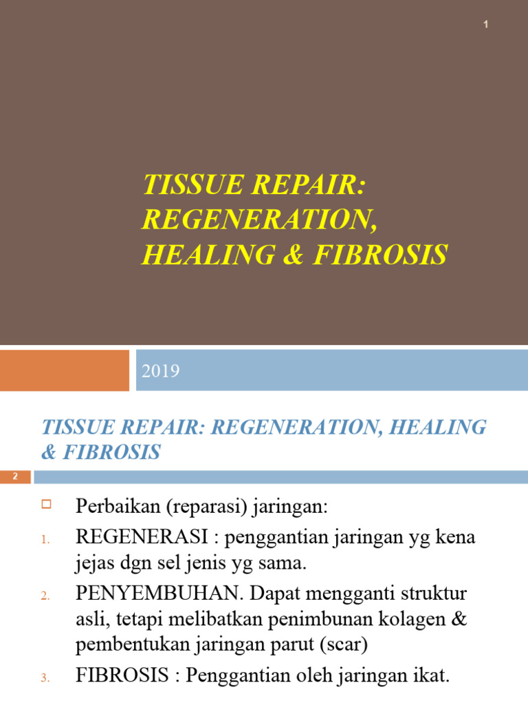 Tissue Repair | PDF