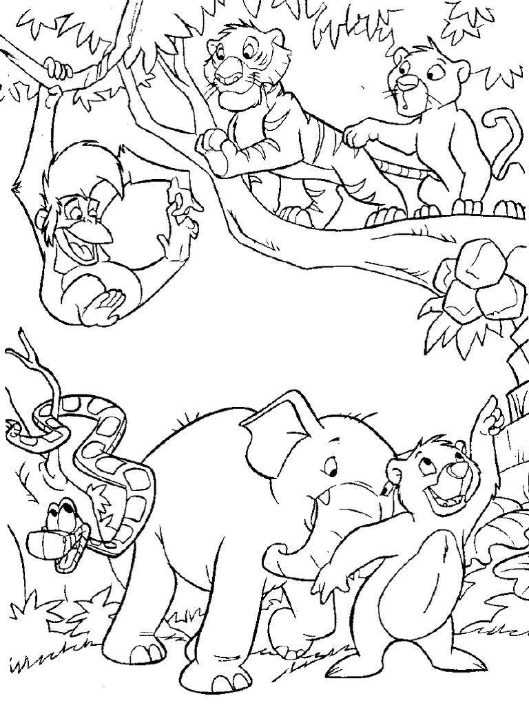 Jungle Colouring Activity | PDF