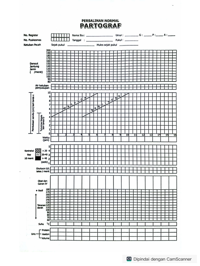 Partograf | PDF