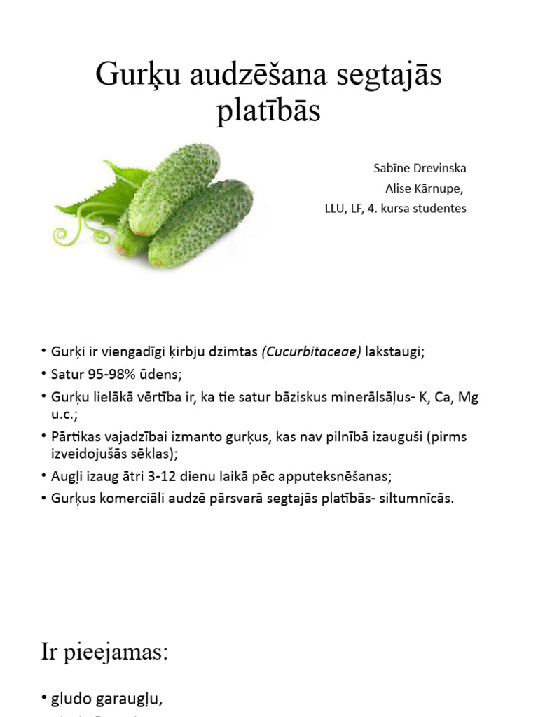 Gurki | PDF