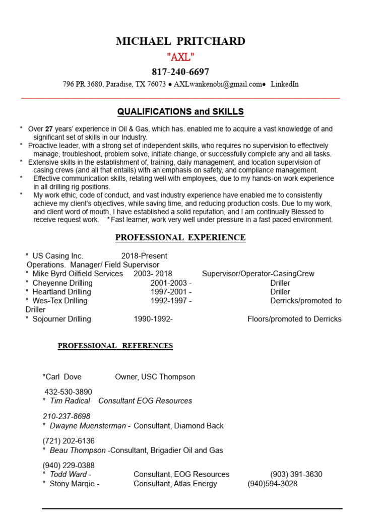 Michaels Resume 2 | PDF