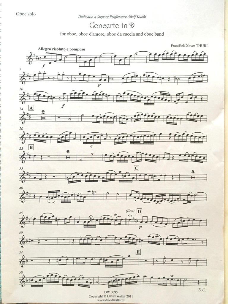 Thuri Conc Parties HB, HbA, CA | PDF