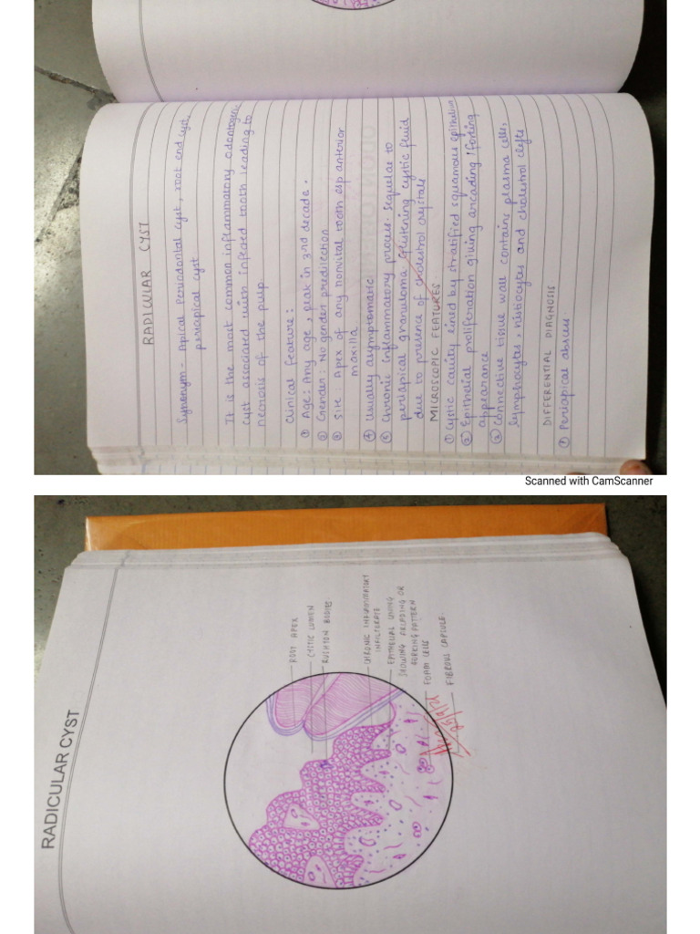 Opath Journal | PDF