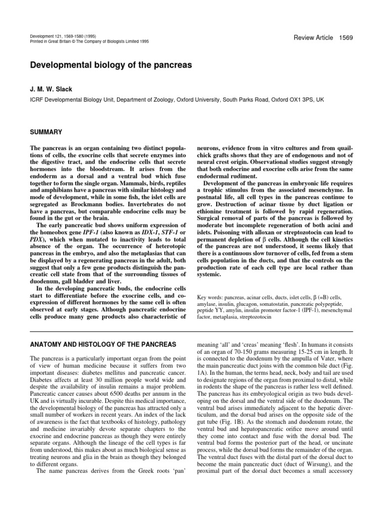 Developmental Biology of The Pancreas: J. M. W. Slack | PDF | Pancreas ...