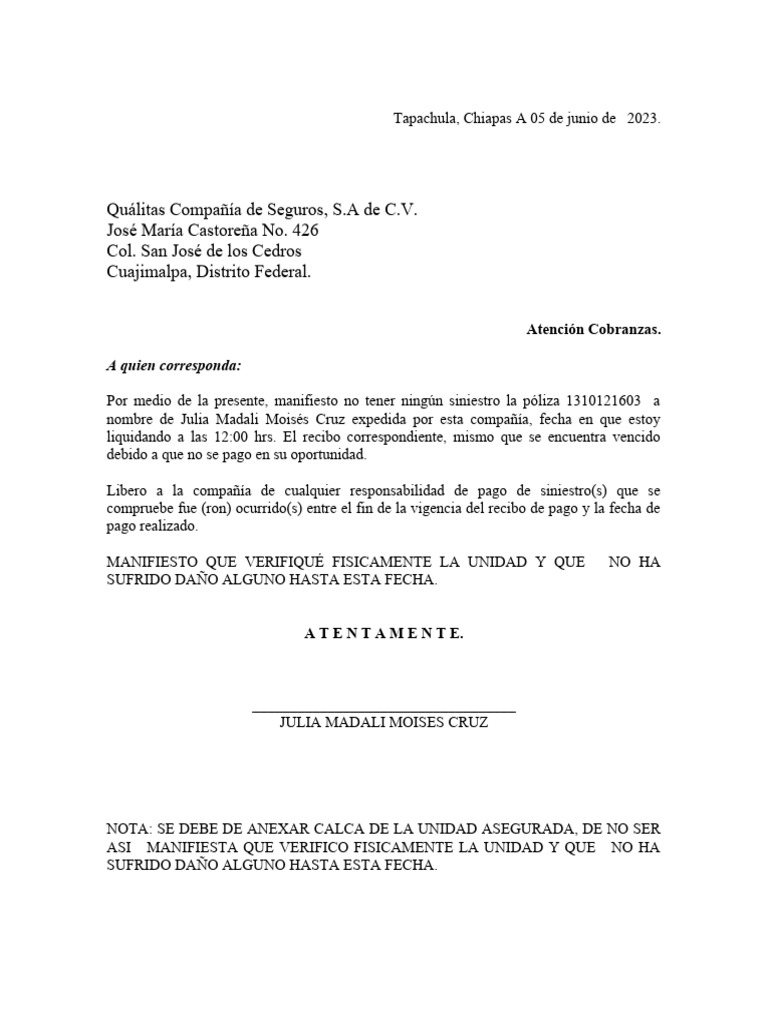 Formato Carta de No Siniestro 2023 | PDF