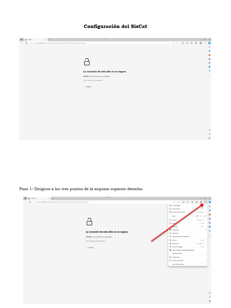 Cómo Configurar El SIS Cat | PDF