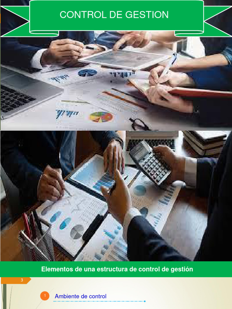 Semana 10 Elementos de Una Estructura de Control de Gestion | PDF