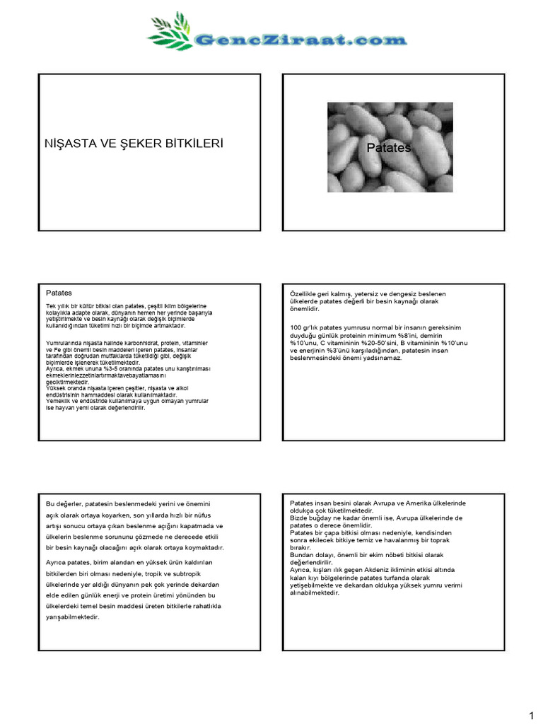 Tarla - Nisasta Ve Seker | PDF