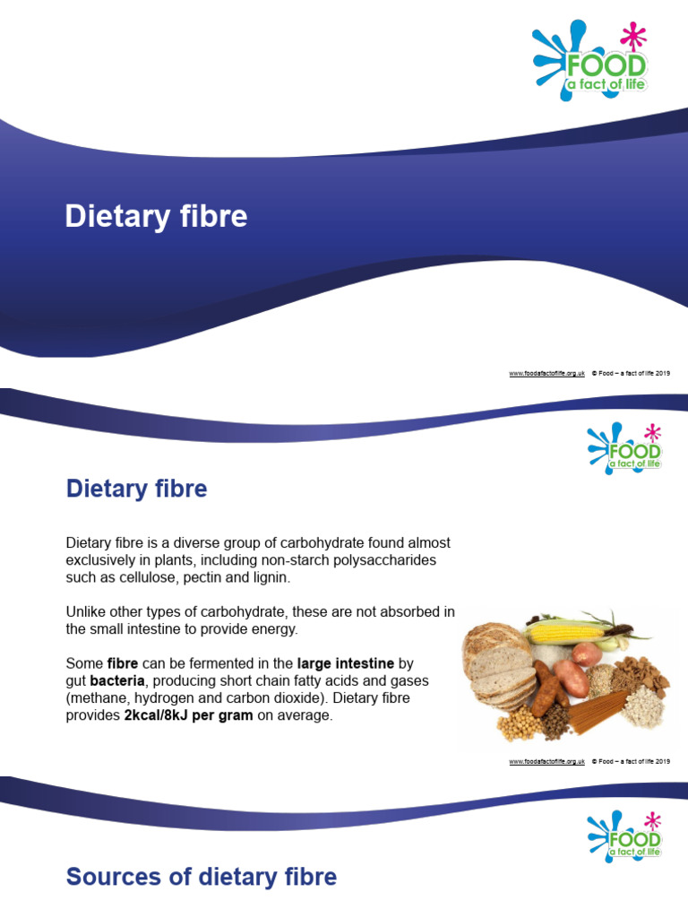 Dietary Fibre PPT 1416he | PDF