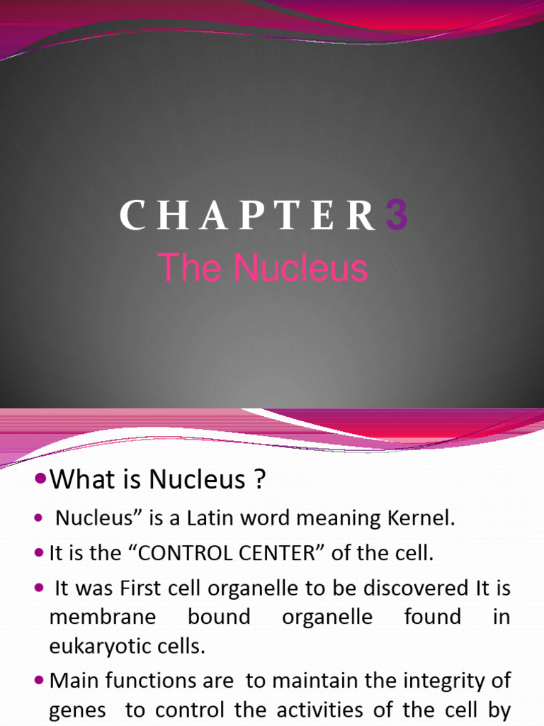 The Nucleus | PDF | Self-Improvement | Wellness