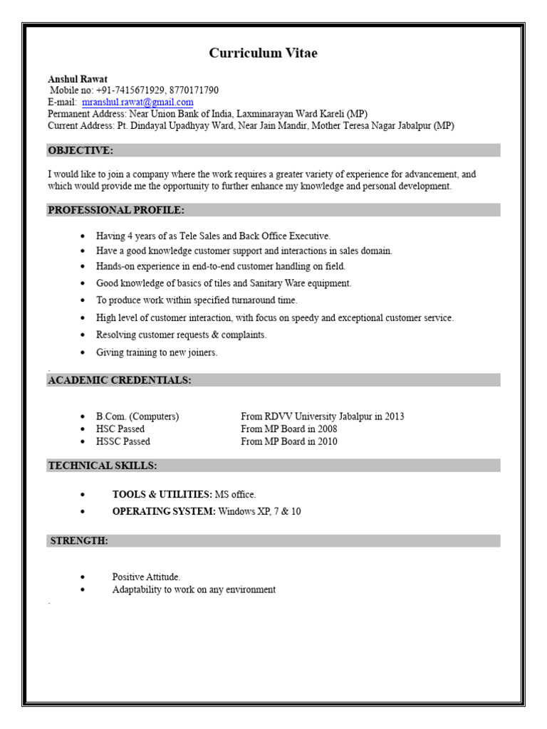 Anshul Rawat Updated CV 2023 | Download Free PDF | Sales | Customer Relationship Management