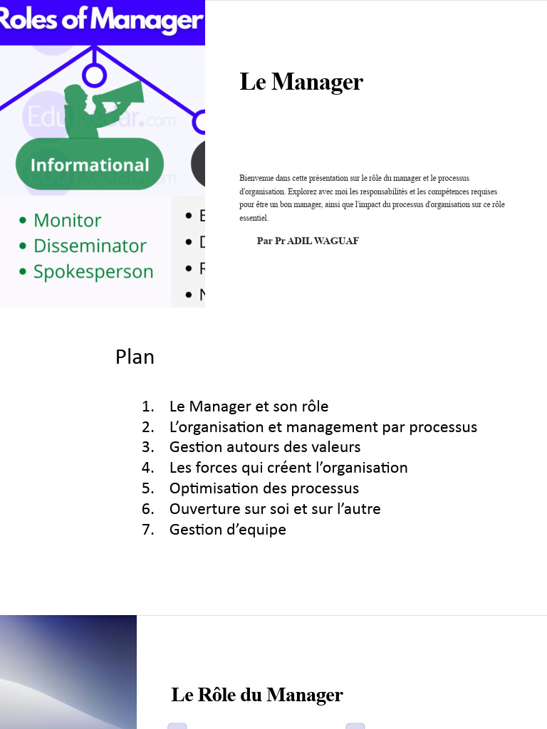 Le Role Du Manager Et Le Processus Dorganisation | PDF | Business