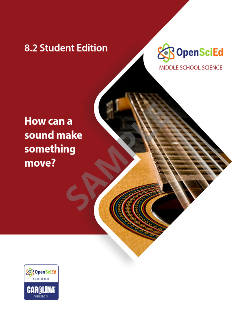 Sound Waves - Student Sample | PDF | Sound | Insects