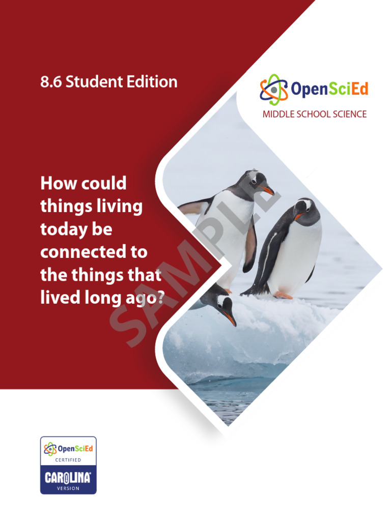 Natural Selection and Common Ancestry - Student Sample | PDF | Fossil ...