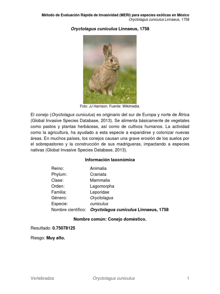 Oryctolagus Cuniculus | PDF