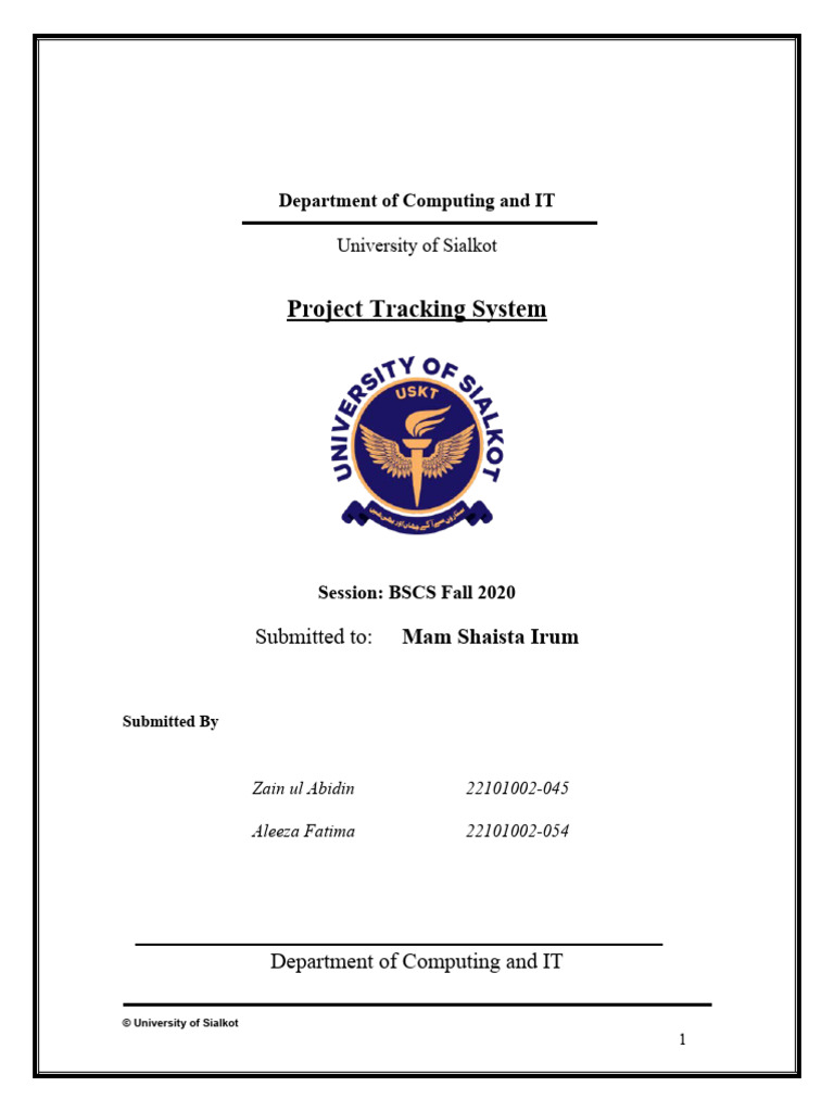 Project Tracking System Rpoet | PDF