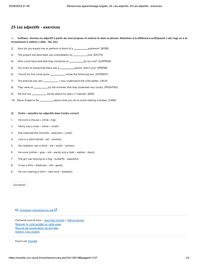 23 Les Adjectifs - Exercices | PDF