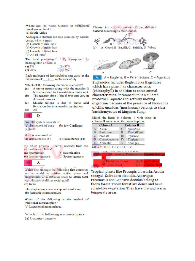 Laurel Class Notes | PDF