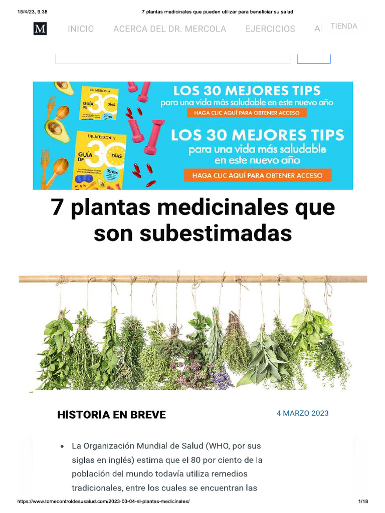 7 Plantas Medicinales | PDF