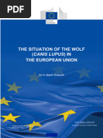 All Wolf Ranks - Powerful Wolves PDF | PDF | Pack (Canine)