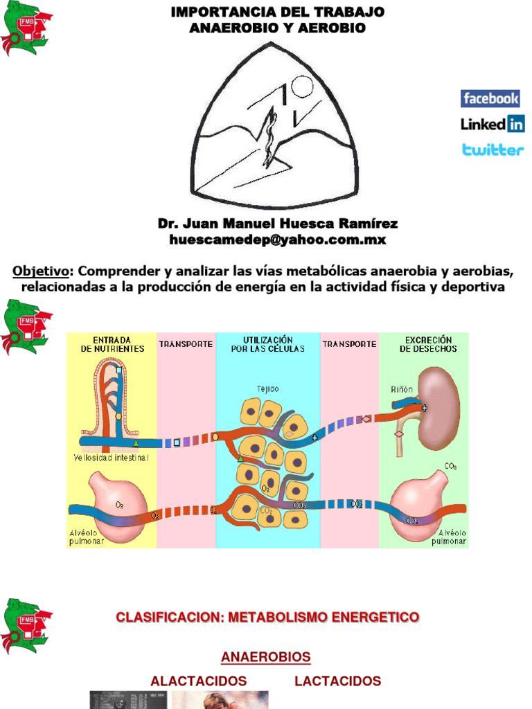 Importancia Anaerobio Aerobio | PDF | Metabolismo | Respiración celular