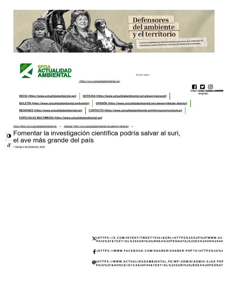 Fomentar La Investigación Científica Podría Salvar Al Suri, El Ave Más ...