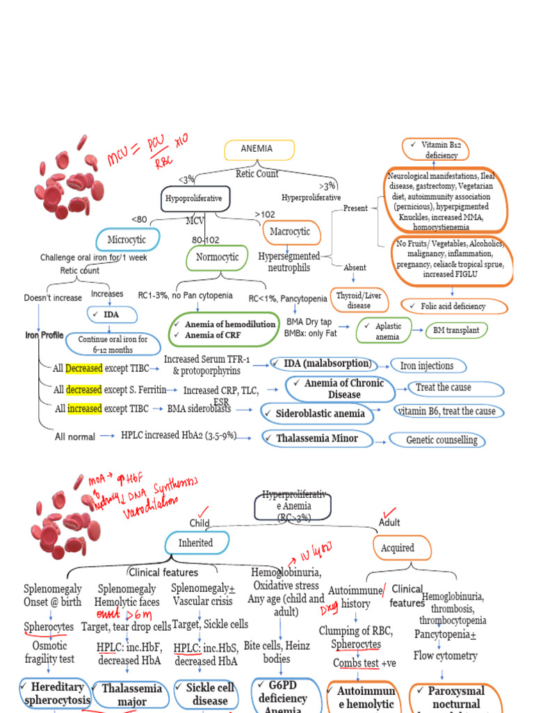 Pathology Systemic DVT | PDF | Platelet | Anemia