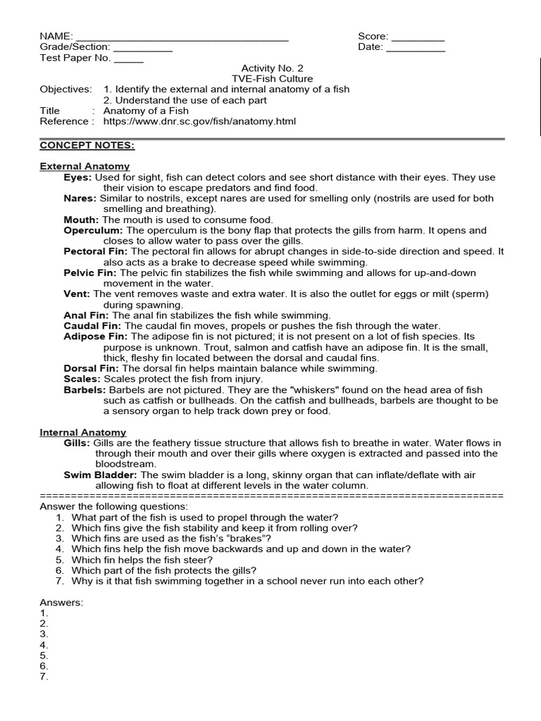 Activity 1 - Anatomy of A Fish | PDF | Fish | Aquatic Animals