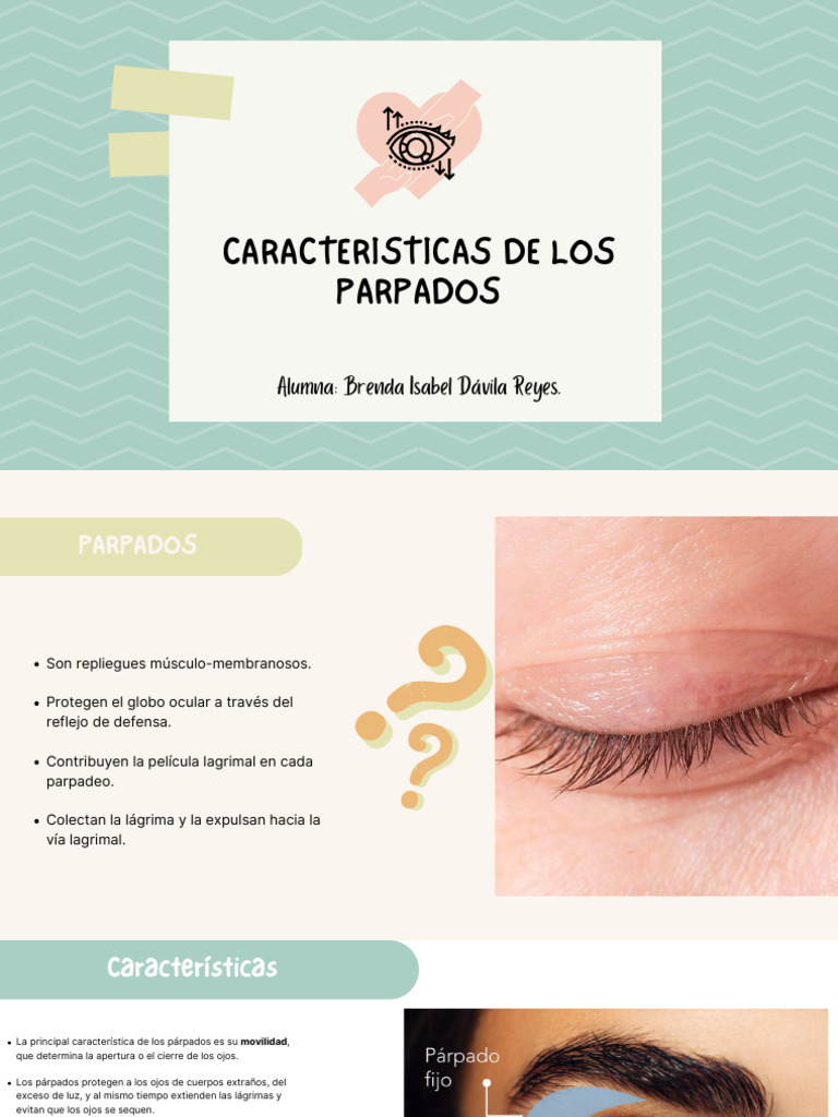 Caracteristicas de Los Parpados | PDF | Ojo | Visión