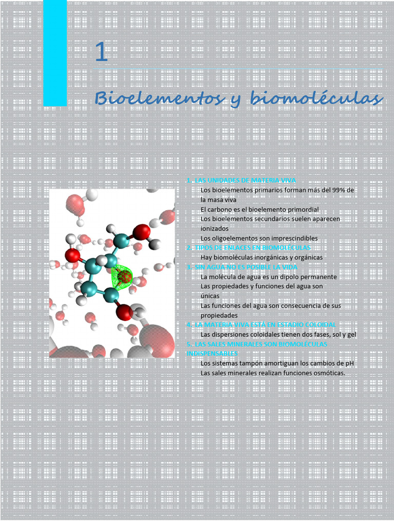 Tema 1 Bioelementos y Biomoléculas | PDF | Solución tampón | Enlace covalente