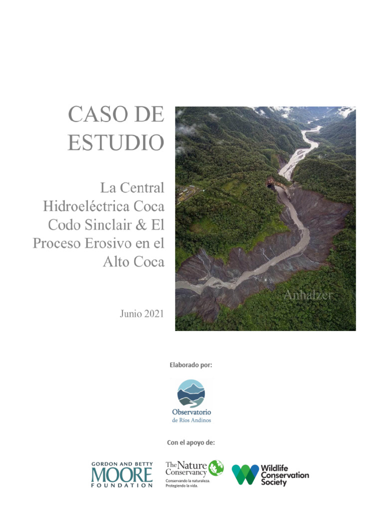 Estudio de Caso Ccs 1 | PDF