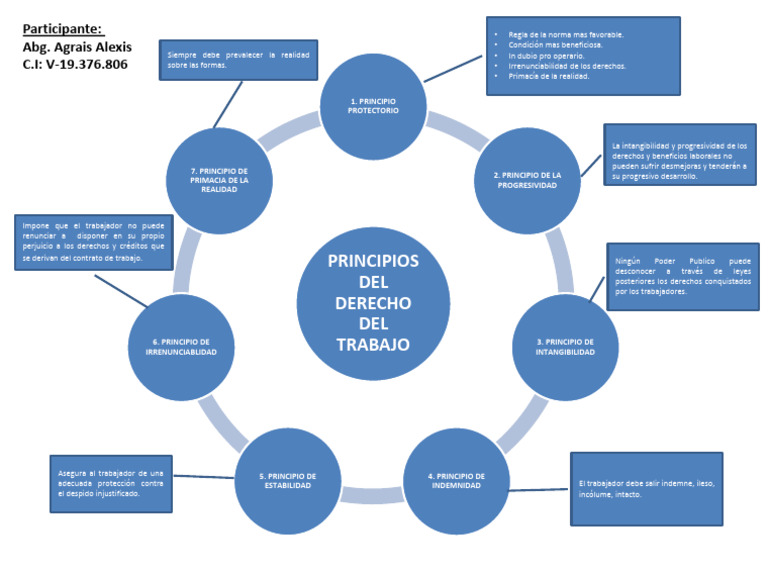Mapa Mental Sobre Los Principios Del Derecho Laboral Pdf