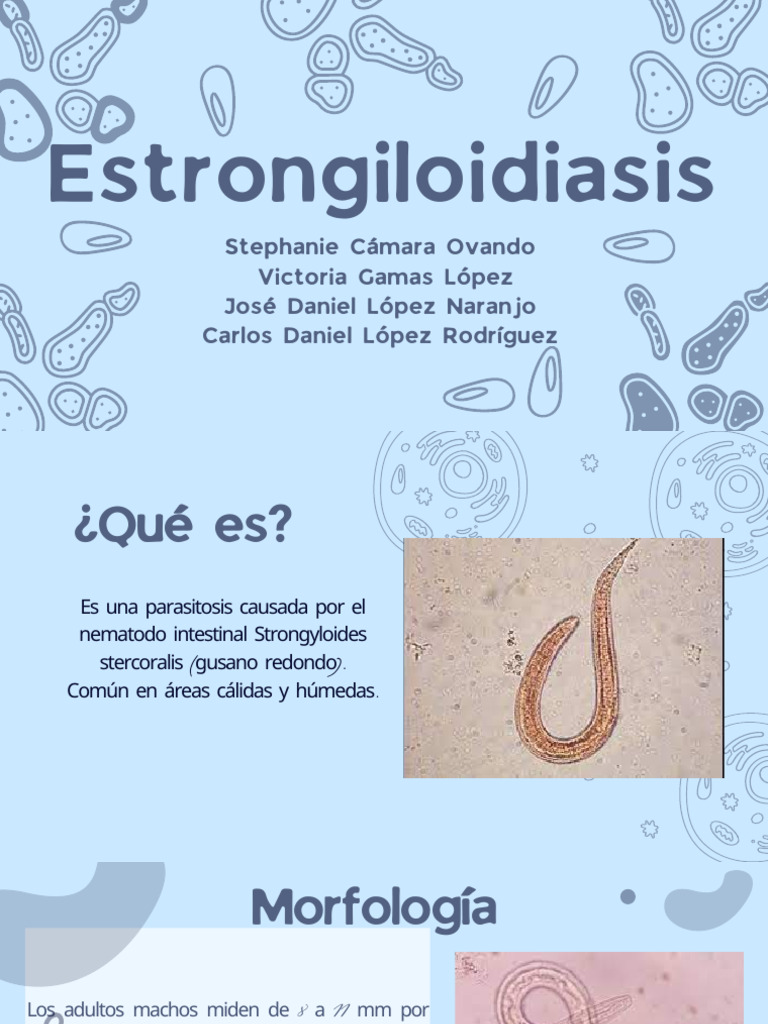 Estrongiloidiasis | PDF | Diarrea | Especialidades Medicas