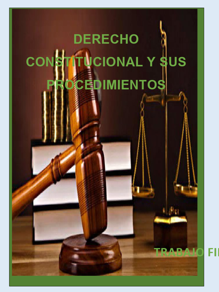 Realizar Un Análisis de La Ley 137-11 Orgánica Del Tribunal Constitucional y de Los ...