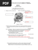 Measuring Transpiration with a Potometer | PDF | Leaf | Stoma