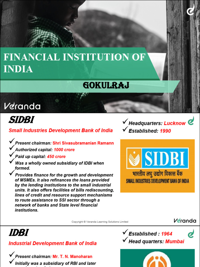 Financial Institution of India | PDF | Business | Economies