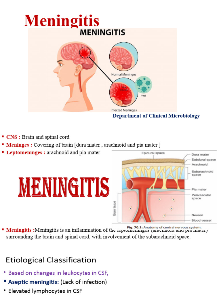 Meningitis | PDF | Meningitis | Infection