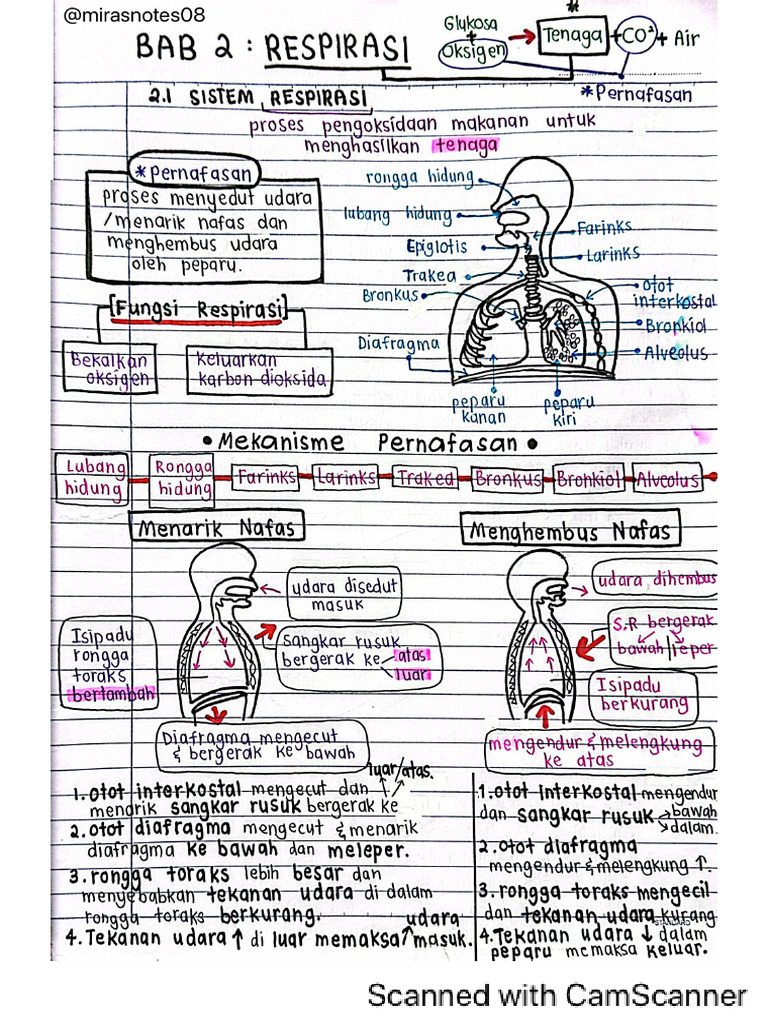 Sains F3 (Random Bab) | PDF