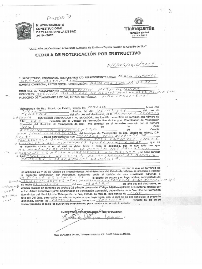 Cedula de Noti X Instruc Famapro 20216 | PDF