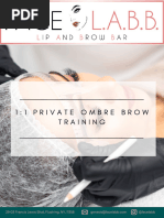 Brow Mapping Workbook | PDF | Eyebrow | Human Appearance