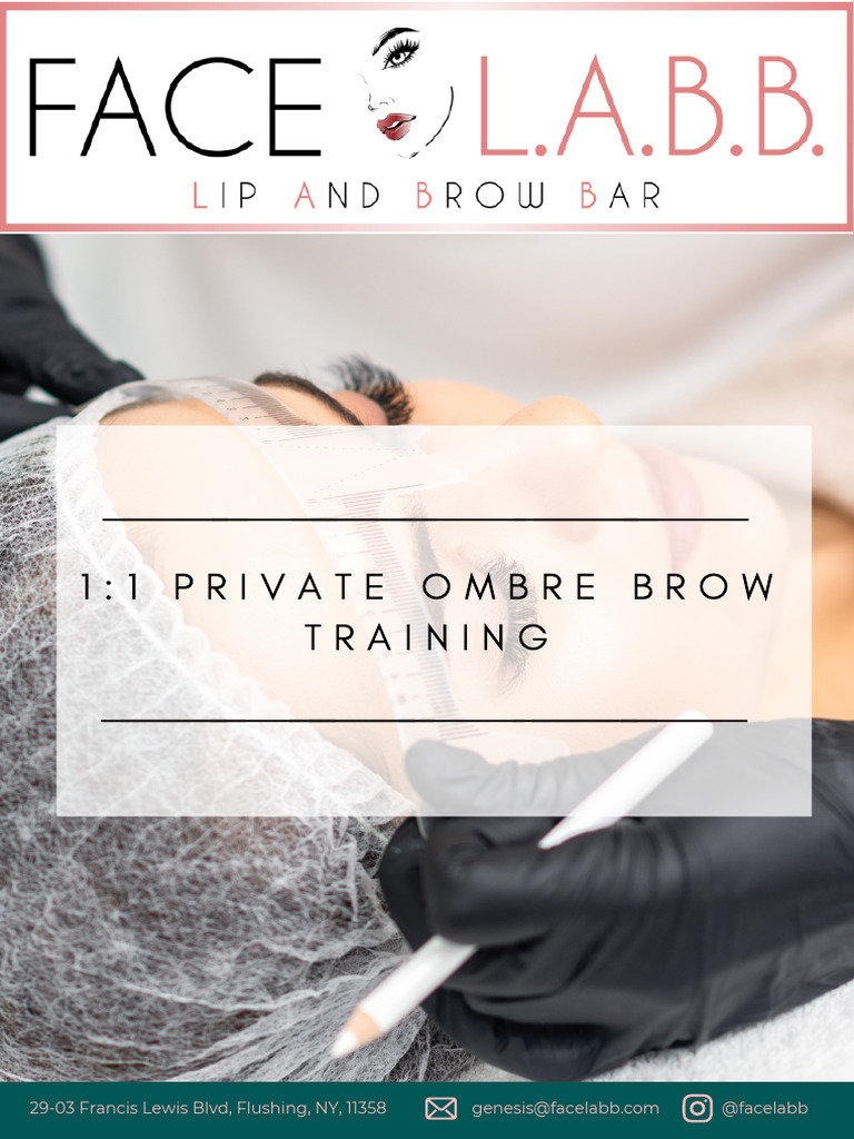 Ombre' Brow Training | PDF